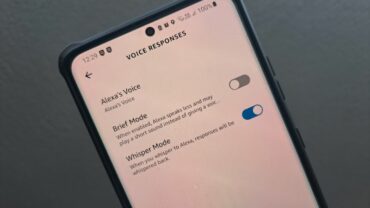 Why is my Alexa not responding to voice commands?